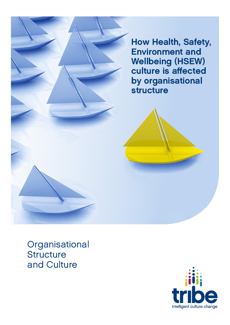 Tribe Culture Change Insights: Is your organisational structure ...